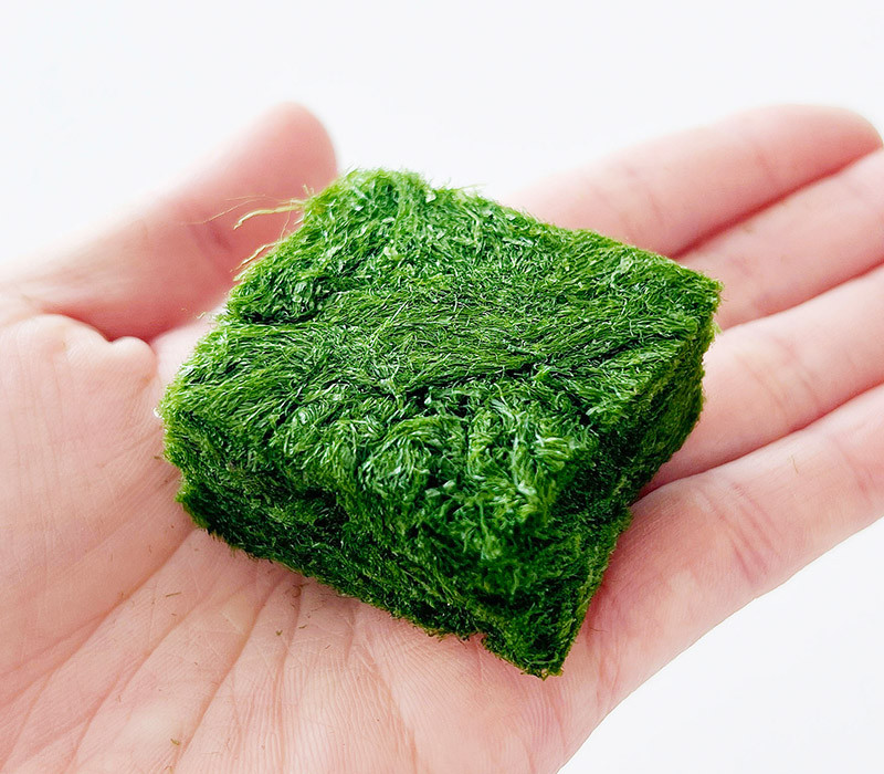 [청산바다] 부드러운 건조 매생이 2g x 20봉 | SEA & 휴 그안에 청산전복 | 꽃피는아침마을